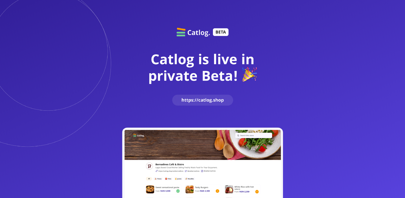 Why we are building Catlog 🛍️