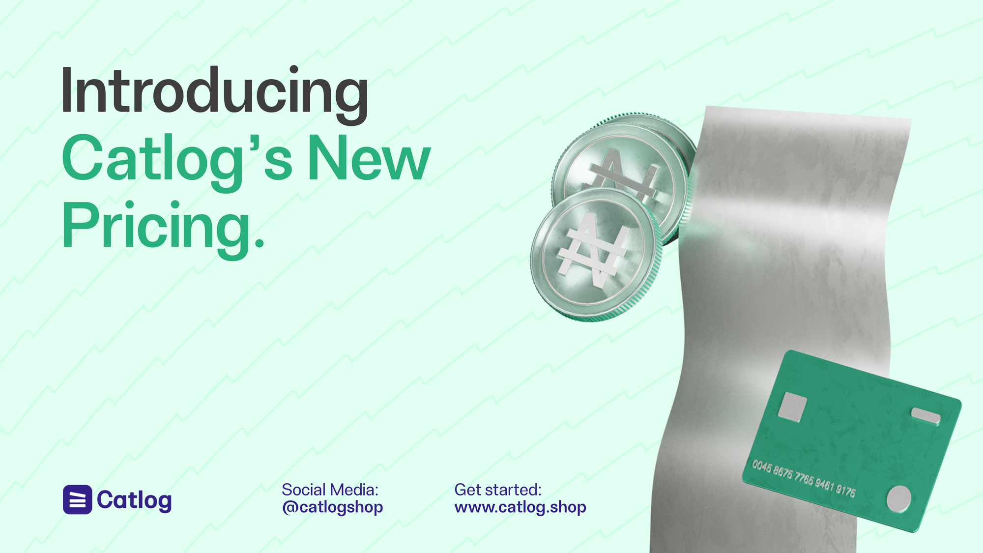 Introducing Catlog’s New Pricing 💸